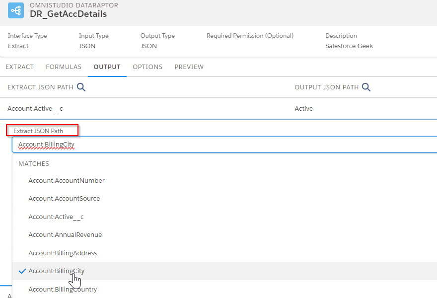 DataRaptors in Omnistudio - Salesforce Geek