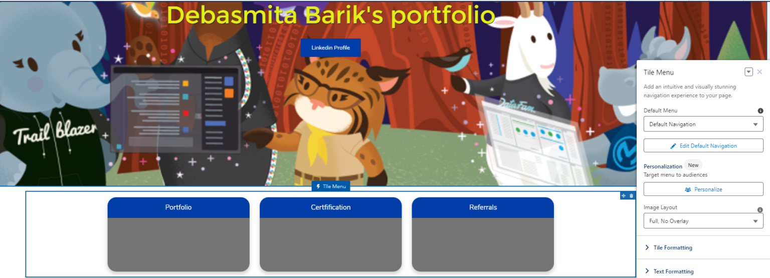How to Build Portfolio Site using Salesforce Experience Cloud ...