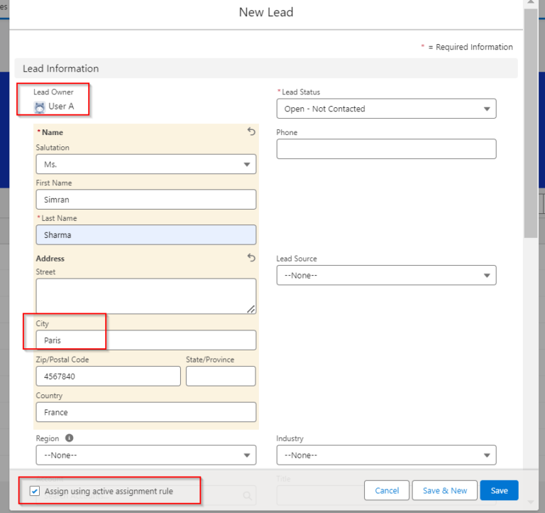 Lead Management in Salesforce - Salesforce Geek