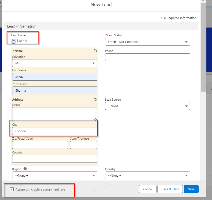 Lead Management in Salesforce - Salesforce Geek