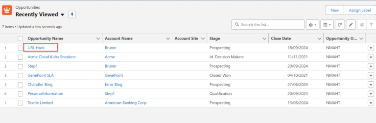 Lightning URL Hack in Salesforce - Salesforce Geek