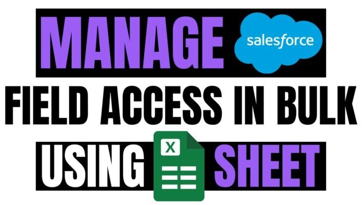 Mass Update Salesforce Field Access using Excel - Salesforce Geek